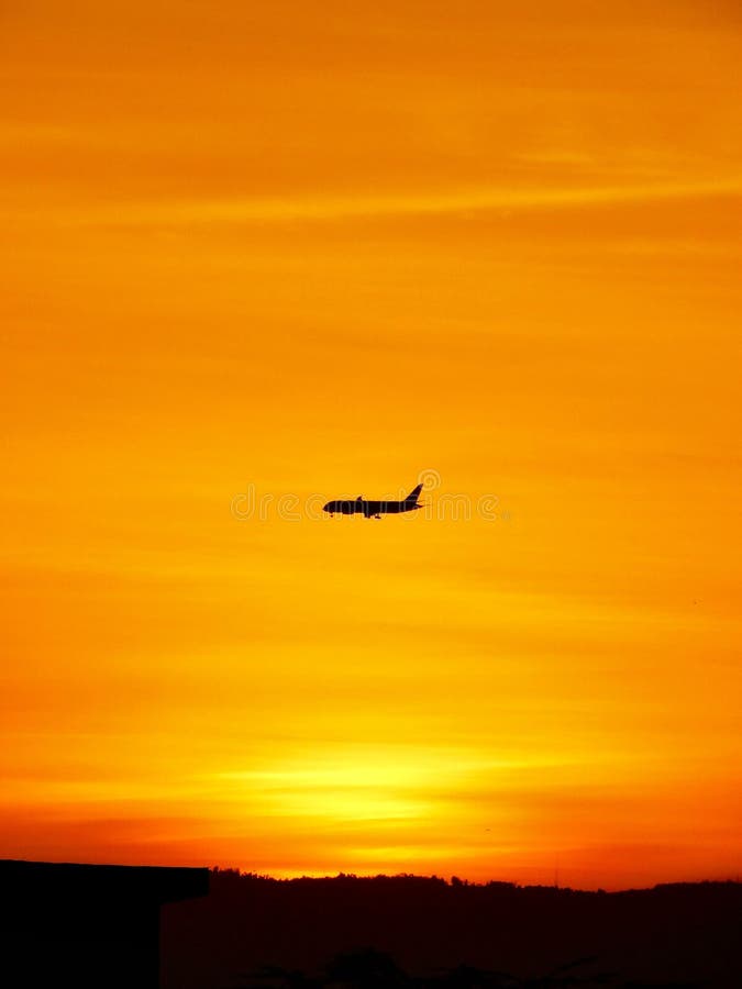 Vertical Shot of a Plane Silhouette Flying at a Golden Sunset Stock ...