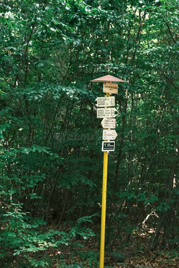 Vertical Shot of a Pole in Front of a Forest with Signposts and Texts ...