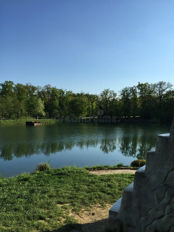 Vertical Shot of a Pond Surrounded by the Greenery and Trees Stock ...