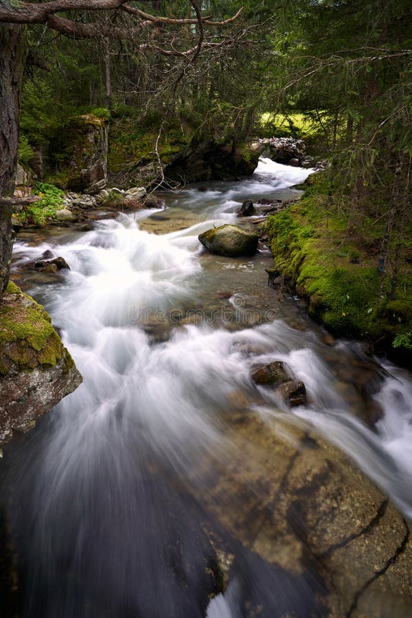 Vertical Shot of a Powerful River Stream Flowing in the Middle of the ...