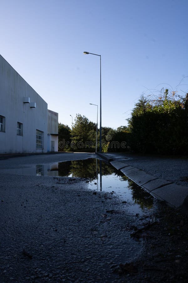 Vertical of a Puddle in Green Tokugawa Park in Nagoya, Japan Stock ...