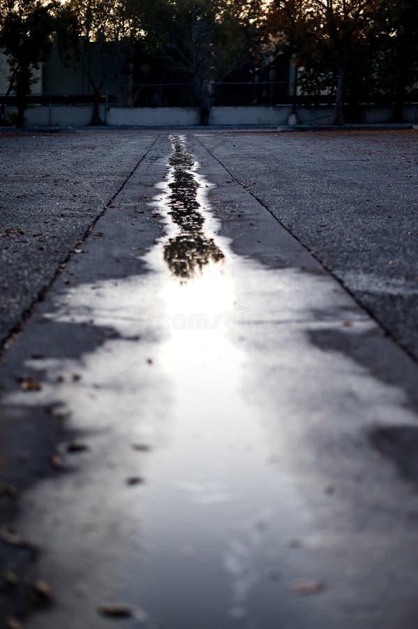 Vertical of a Puddle in Green Tokugawa Park in Nagoya, Japan Stock ...