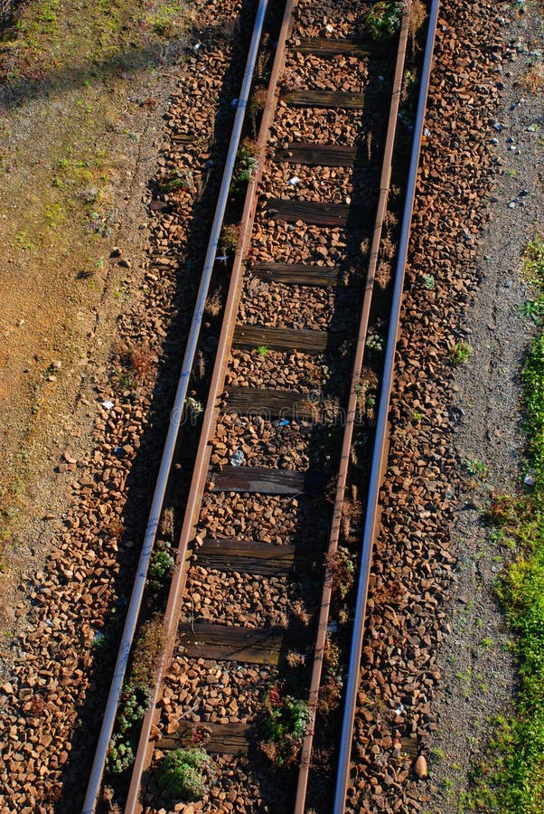 Vertical Railroad Track In Fall Stock Photo - Image of journey, iron ...