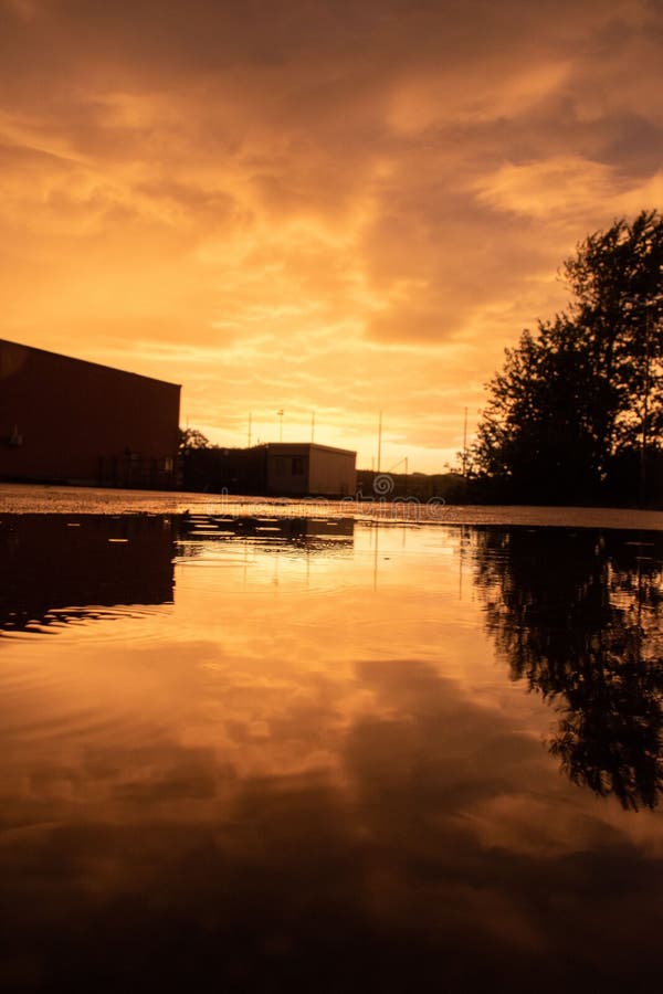 Vertical of a Puddle in Green Tokugawa Park in Nagoya, Japan Stock ...