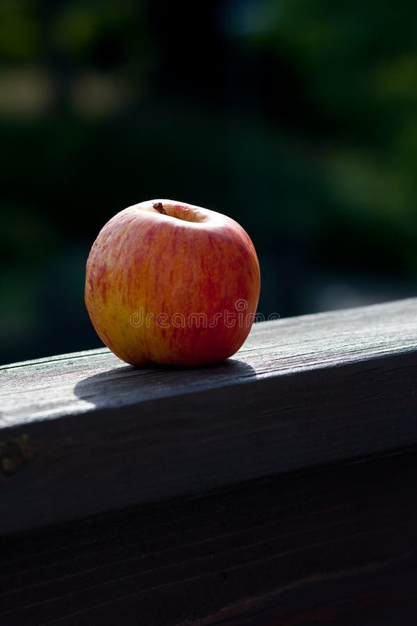Vertical Shot of a Red Apple Put on Wood Stock Image - Image of wooden ...