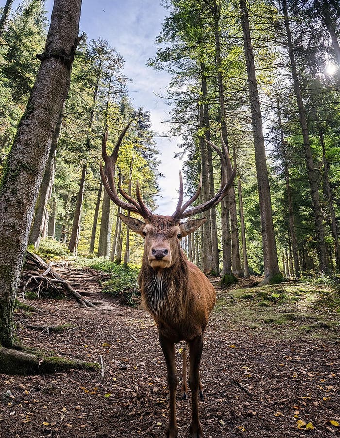 Vertical Shot of a Purple Martini Cocktail with Its Ingredients and ...