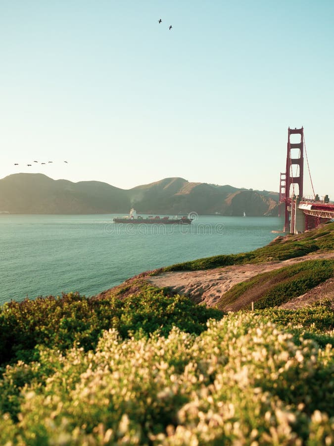 Vertical Shot of a Red Metallic Bridge in the Daytime Stock Image ...