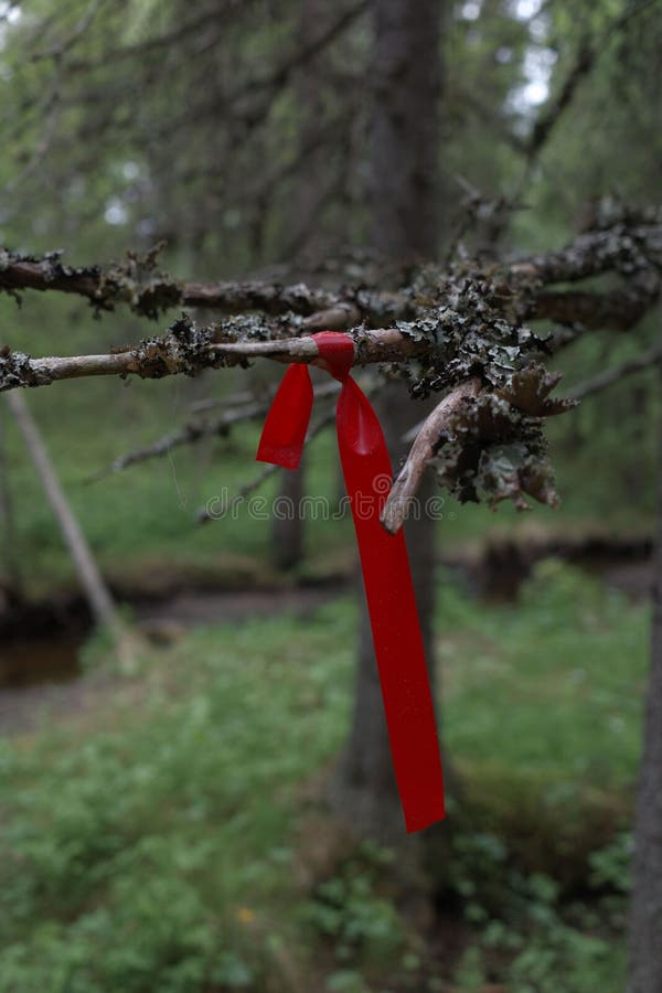 Vertical Shot of a Red Ribbon Hanging on a Tree Branch Stock Image ...