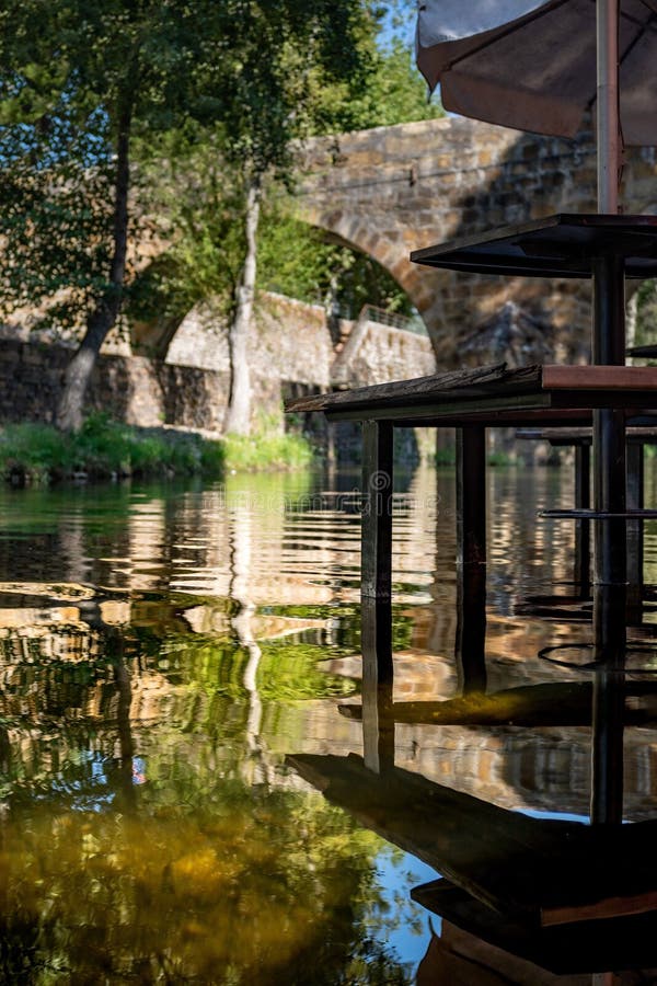 Vertical Shot of the Reflection of Lakeside Trees in the Lake in Spring ...