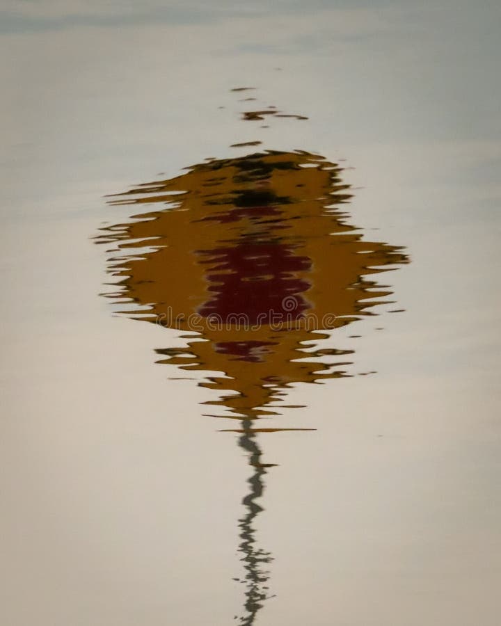 Vertical Shot of a Reflection in Water Stock Image - Image of muted ...