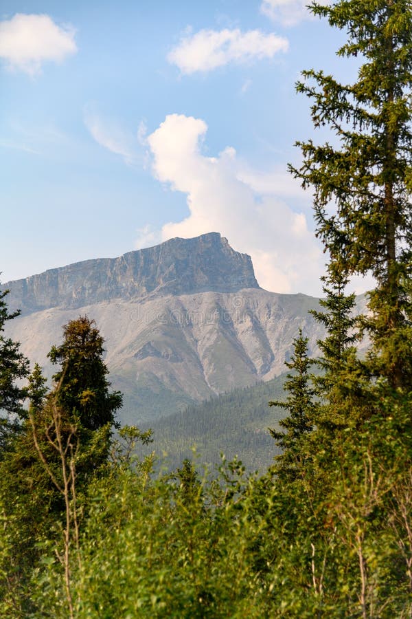 Vertical Shot of the Ridge in the Brooks Range of Alaska with a Forest ...