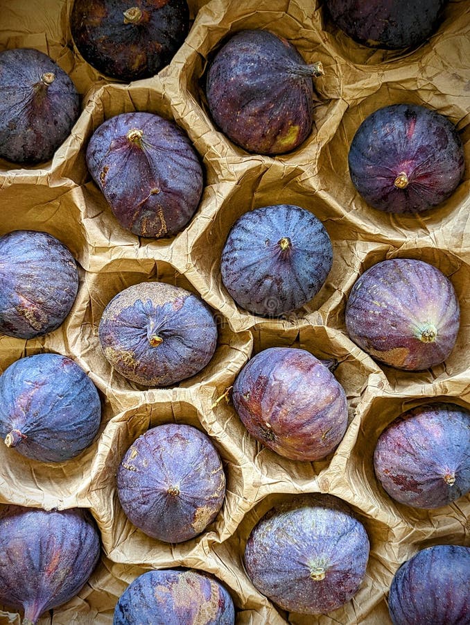 Vertical Shot of Ripe Figs in a Cardboard Packaging Stock Image - Image ...
