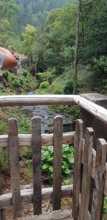 Vertical Shot of a River with Bridges Over it Stock Photo - Image of ...