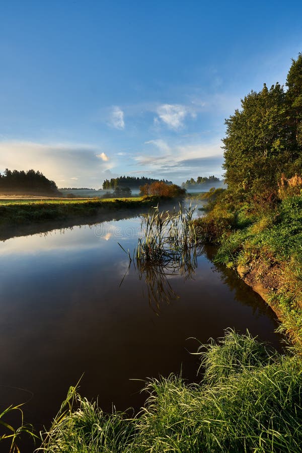 Vertical Shot of a River Flowing between Fields Surrounded by Trees ...
