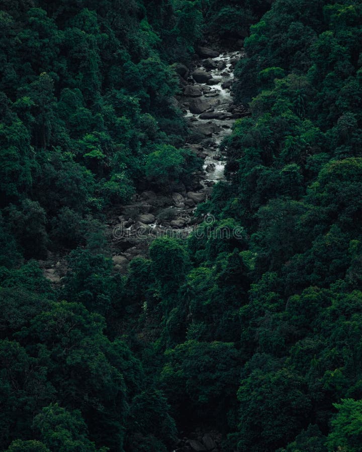 Vertical Shot of a River Flowing through a Mountain Range Covered with ...