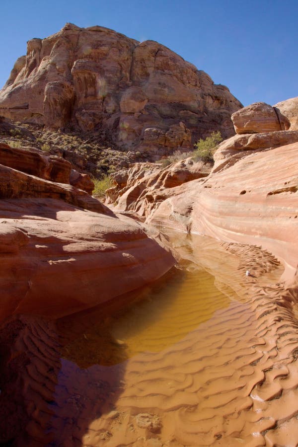 Vertical Shot of a River Flowing through Rocks in Valley of Fire State ...