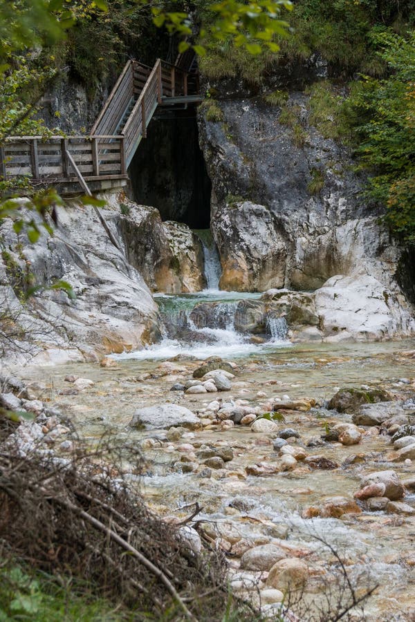 Vertical Shot of a River Flowing among Rocky Land Surrounded by Trees ...
