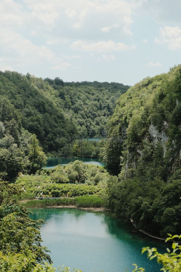 Vertical Shot of a River with Green Forested Shore Stock Photo - Image ...