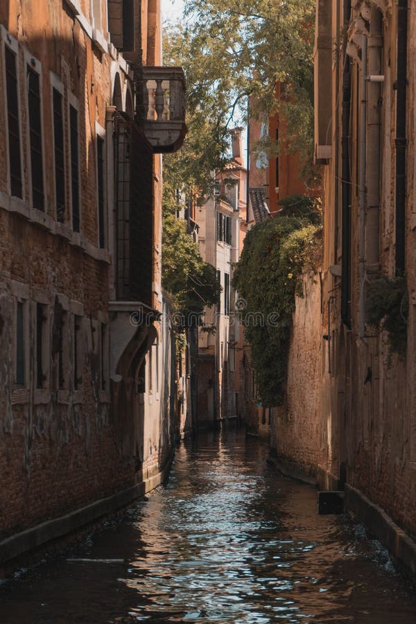 Vertical Shot of a River Passing in between Buildings Stock Photo ...