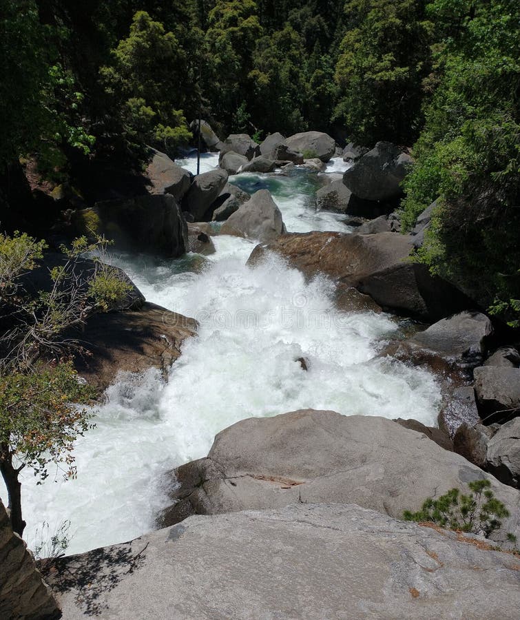 Vertical Shot of a River Passing through a Valley Filled with Trees and ...