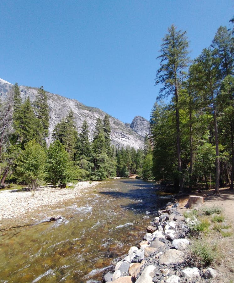 Vertical Shot of a River Passing through a Valley Filled with Trees and ...