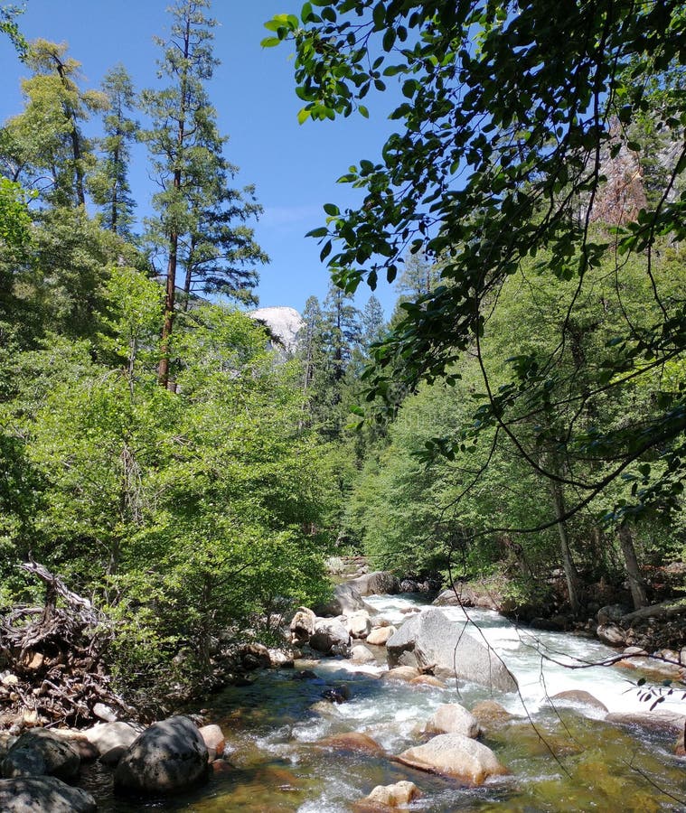 Vertical Shot of a River Passing through a Valley Filled with Trees and ...