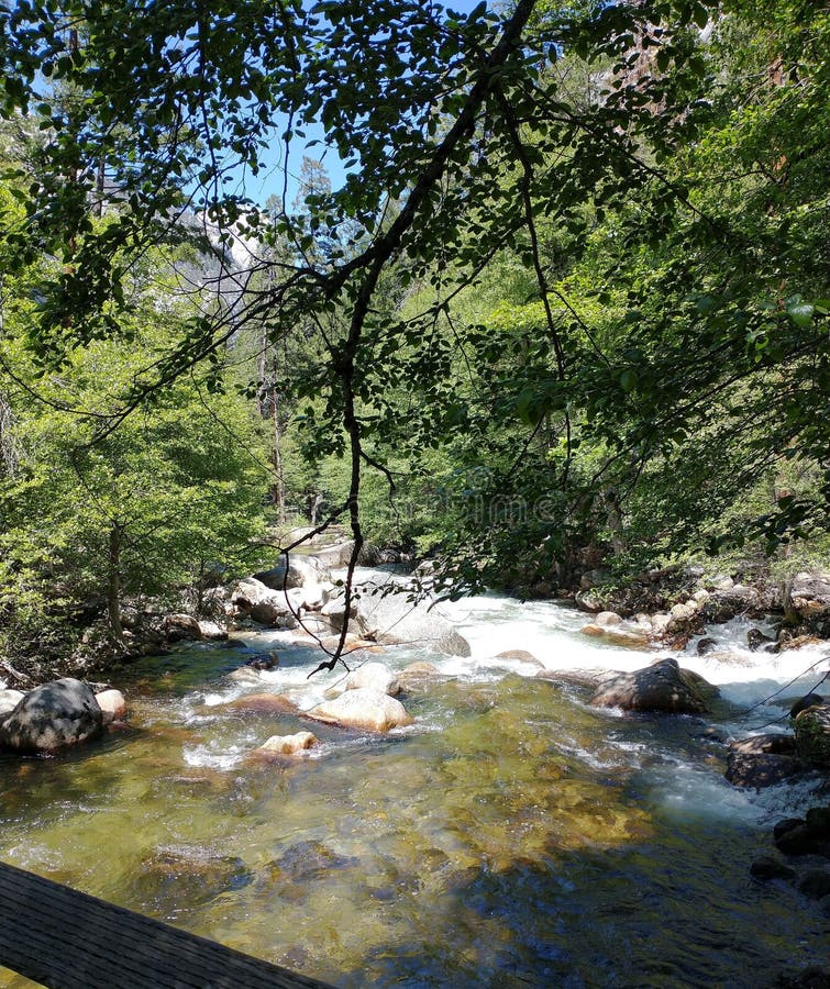 Vertical Shot of a River Passing through a Valley Filled with Trees and ...