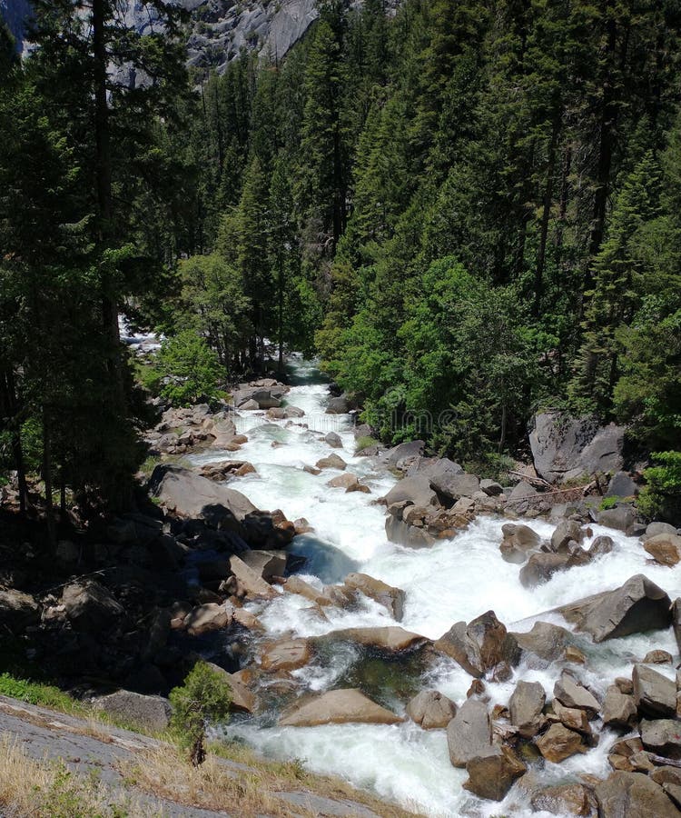 Vertical Shot of a River Passing through a Valley Filled with Trees and ...