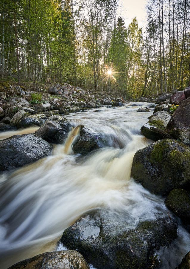 Vertical Shot of River Running through the Forest Stock Image - Image ...