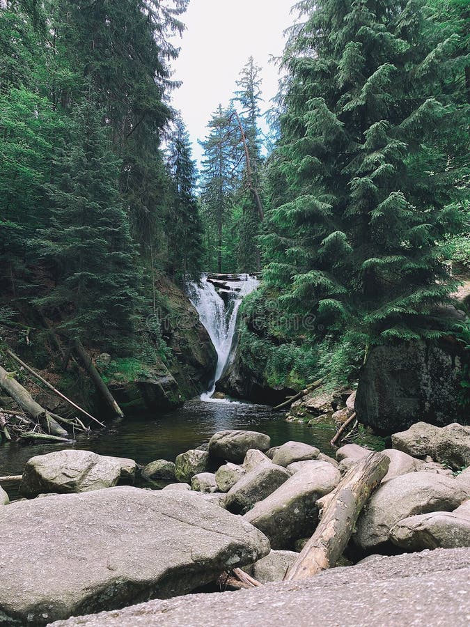 Vertical Shot of a River Running through Forest Trees Stock Image ...
