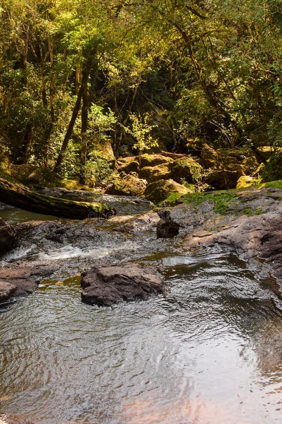 Vertical Shot of a River Stream Passing through Big Rocks Inside of the ...