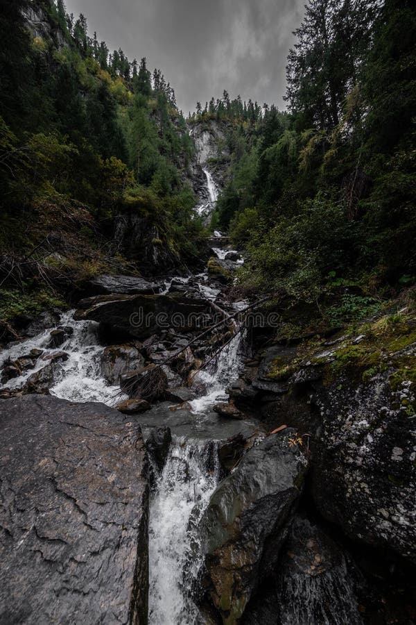 Vertical Shot of the River Surrounded by Rocks and Dark Green ...