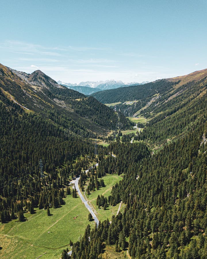 Vertical Shot of a Road Going through a Valley Surrounded by Tree ...