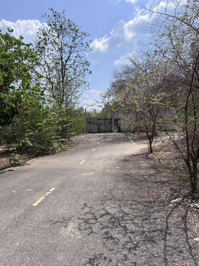 A Vertical Shot of a Road Surrounded by Trees Stock Image - Image of ...