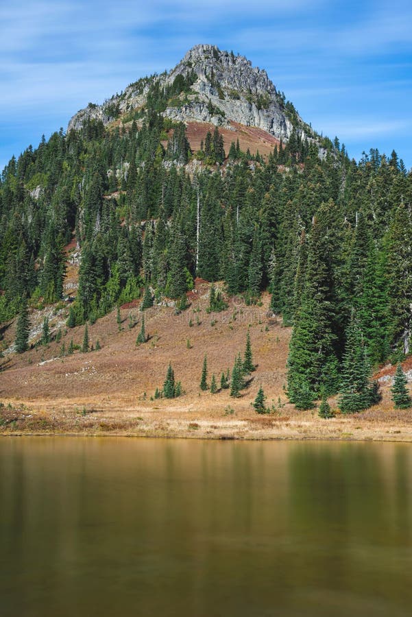 Vertical Shot of a Rock Covered with Trees Perpendicular To the ...