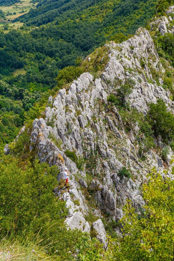 Vertical Shot of Rock Formations Overgrown with Green Vegetation Stock ...
