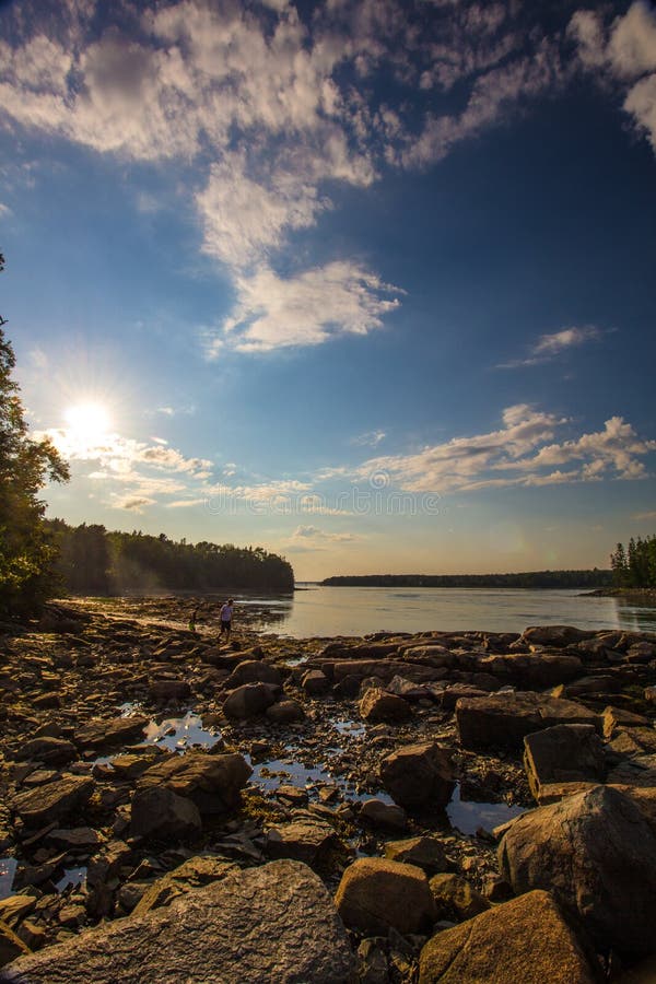 Vertical Shot of Rocks Surrounded by Water and Greenery during the ...