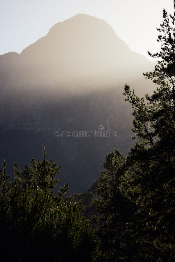 Vertical Shot of a Rocky Mountain Visible from Behind Green Trees and ...
