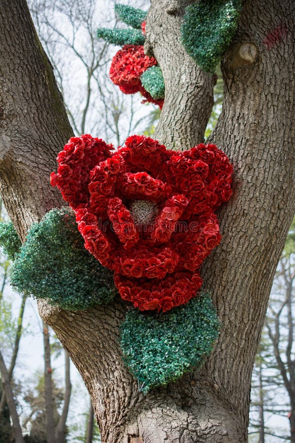 Vertical Shot of a Rose on a Tree Made of Red Roses and Green Leafy ...