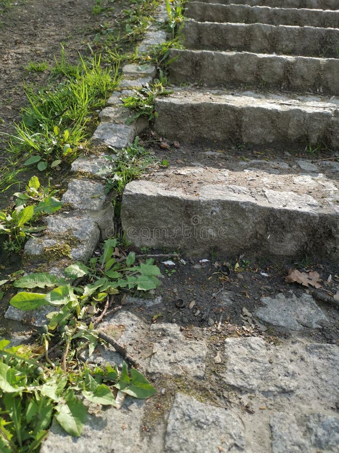 Vertical Shot of Rough Stone Stairs Outside with Grass and Leafy Plants ...