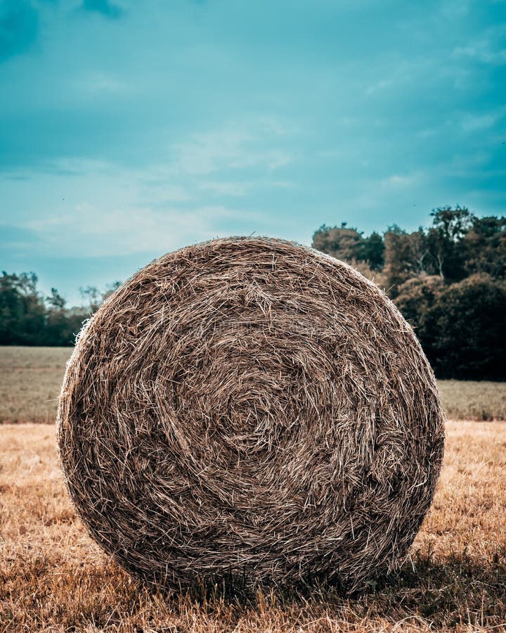 Vertical Shot of Round Hay Bale in a Field Stock Image - Image of ...