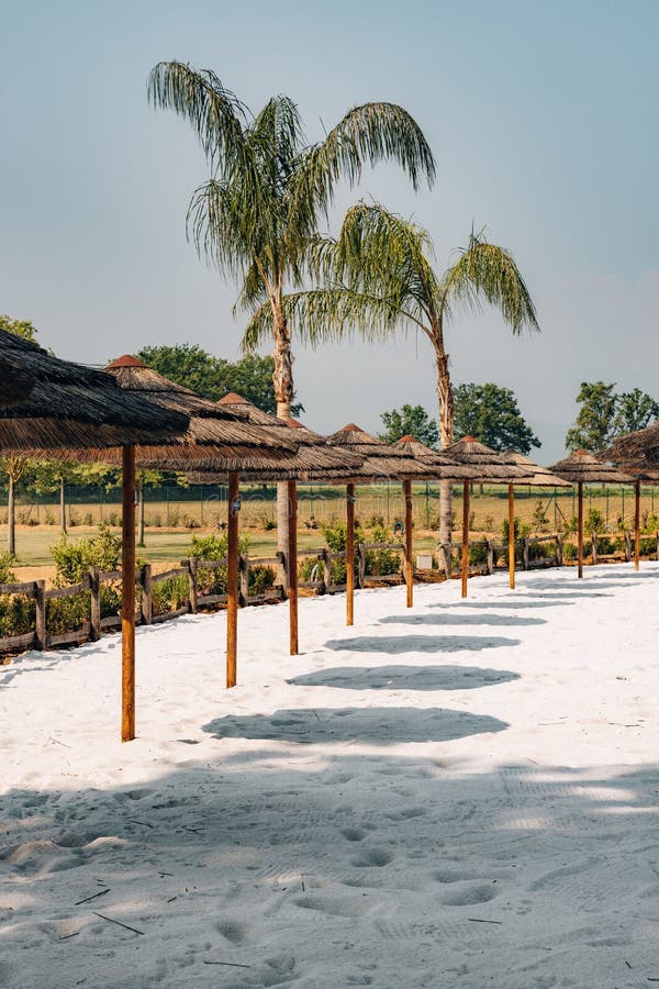 Vertical Shot of Rows of Thatch Umbrellas on the White Sand in the Park ...
