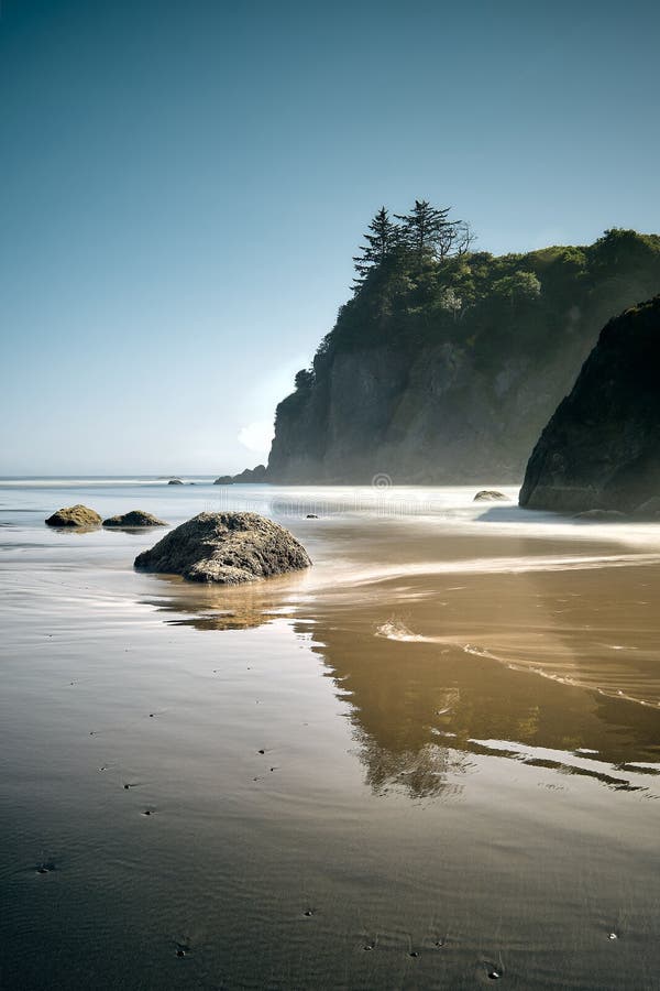 Vertical Shot of the Ruby Beach at the Olympic National Park, USA Stock ...