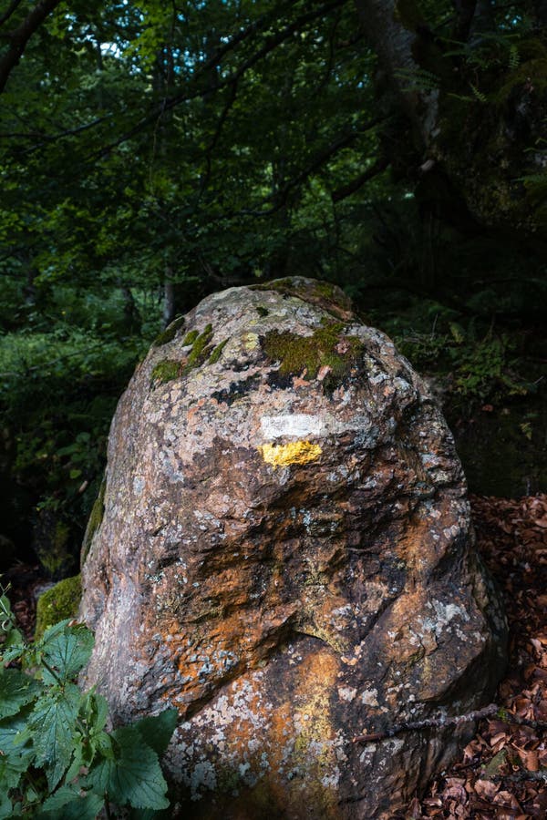 Vertical Shot of a Rural Path Sign Marked on a Stone Stock Image ...