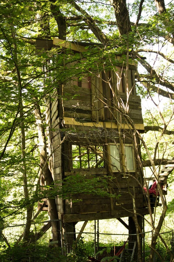 Vertical Shot of a Rustic Treehouse Surrounded by Green Leaves in the ...