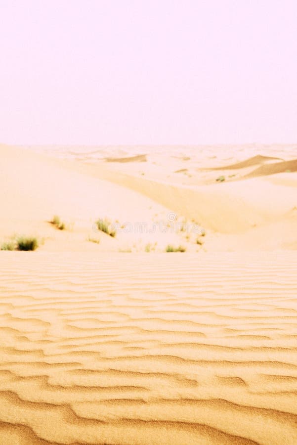 Vertical Shot of Sand Dunes in the Desert Stock Image - Image of ...