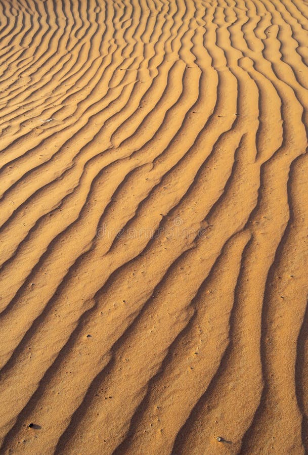 Vertical Shot of the Sand Texture in the Desert Stock Image - Image of ...