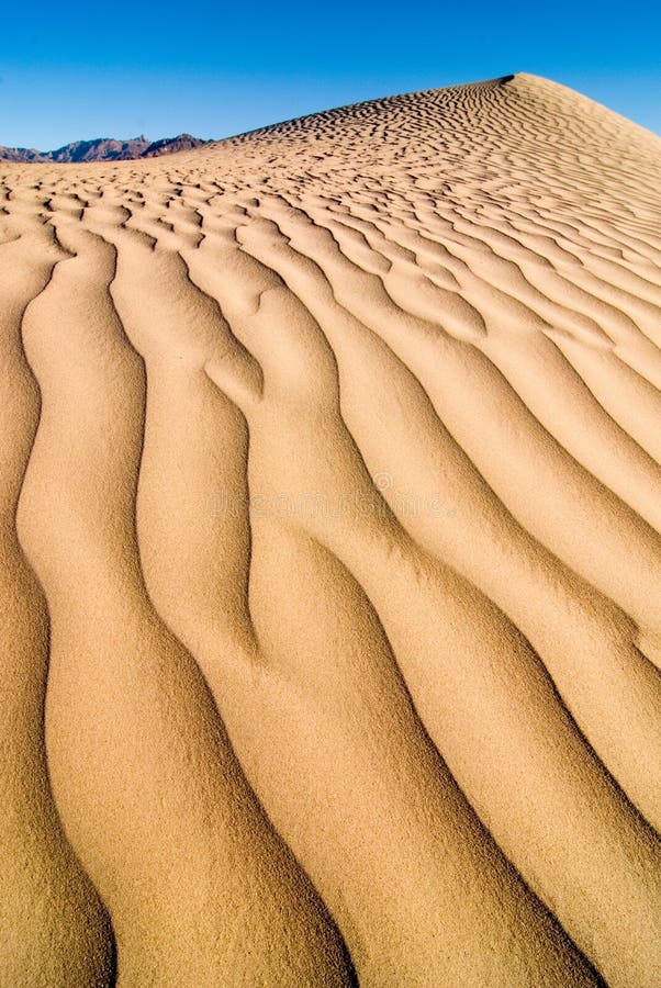Vertical Shot of a Sand Wave Texture in the Desert. Beautiful Wallpaper ...