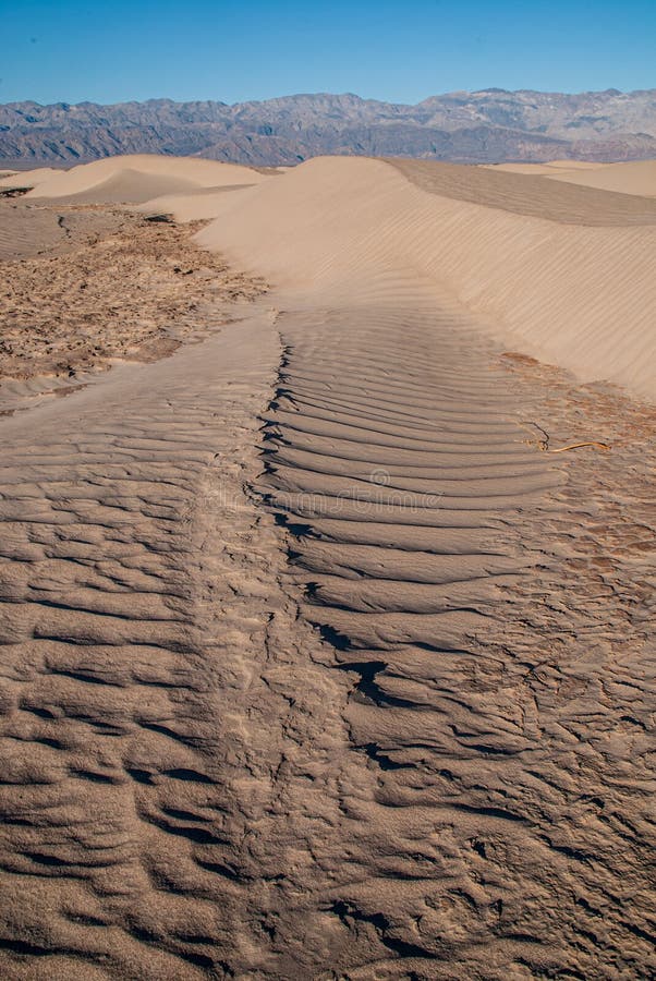 Vertical Shot of a Sand Wave Texture in the Desert. Beautiful Wallpaper ...