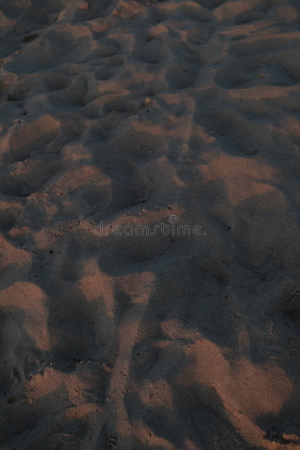 Vertical Shot of a Sandy Beach Texture in Sunny Weather Stock Photo ...